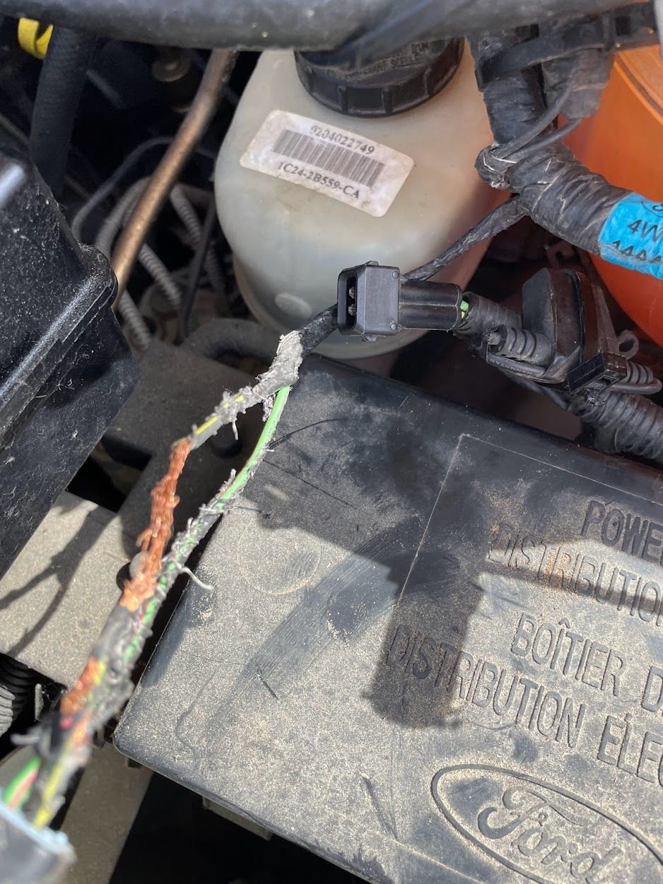 Help with identifying connector - Ford Truck Enthusiasts Forums