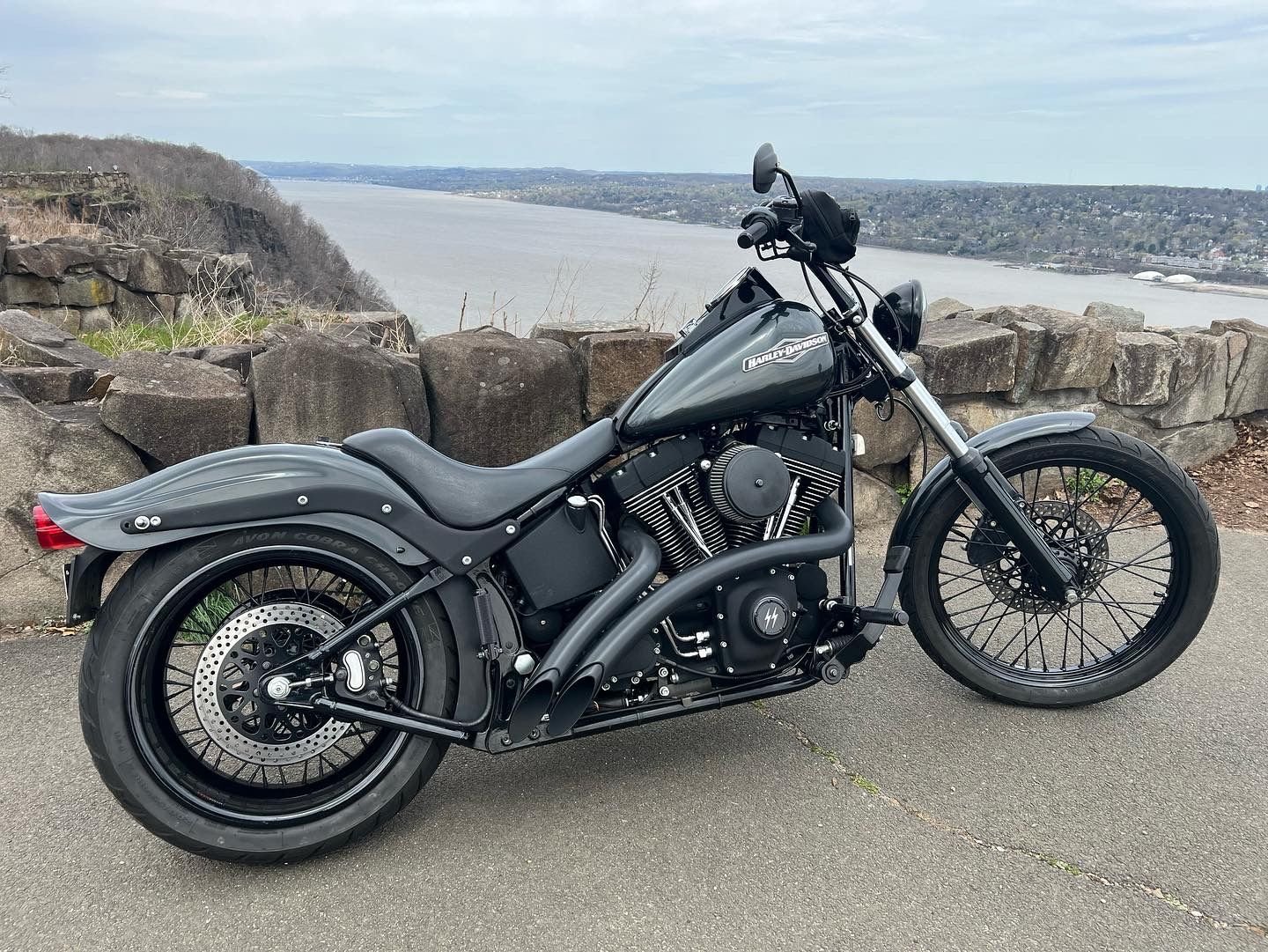 2006 HD night train - Harley Davidson Forums