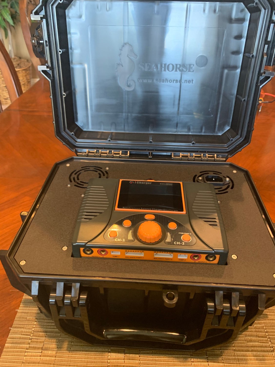 Mint Icharger 406 duo setup - R/C Tech Forums