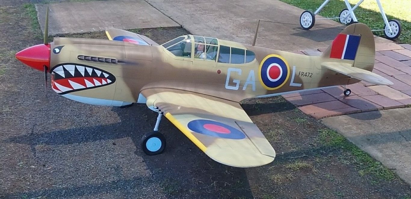 P-40 Brotherhood (All P-40's Welcome) - Page 69 - RCU Forums