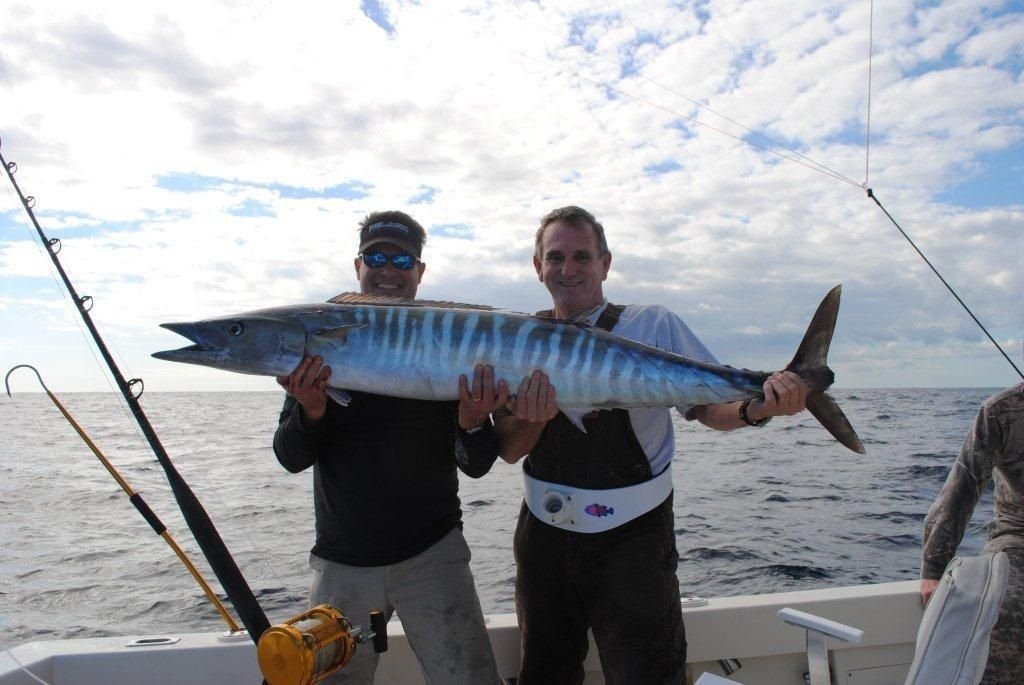 The Hull Truth - Boating and Fishing Forum - Has a Sailfish or Marlin Ever Stabbed You with Its ...