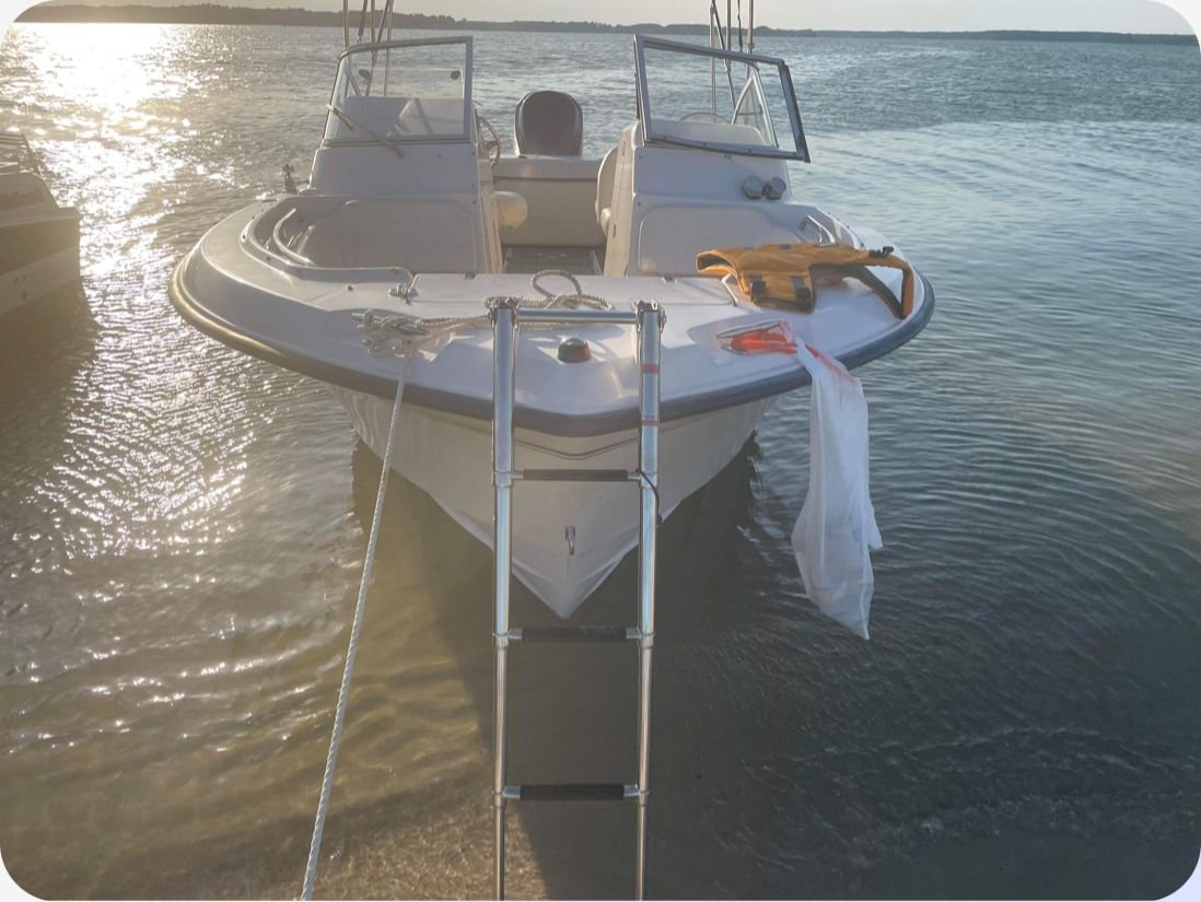 The Hull Truth - Boating and Fishing Forum - Bow Boarding Ladder When ...