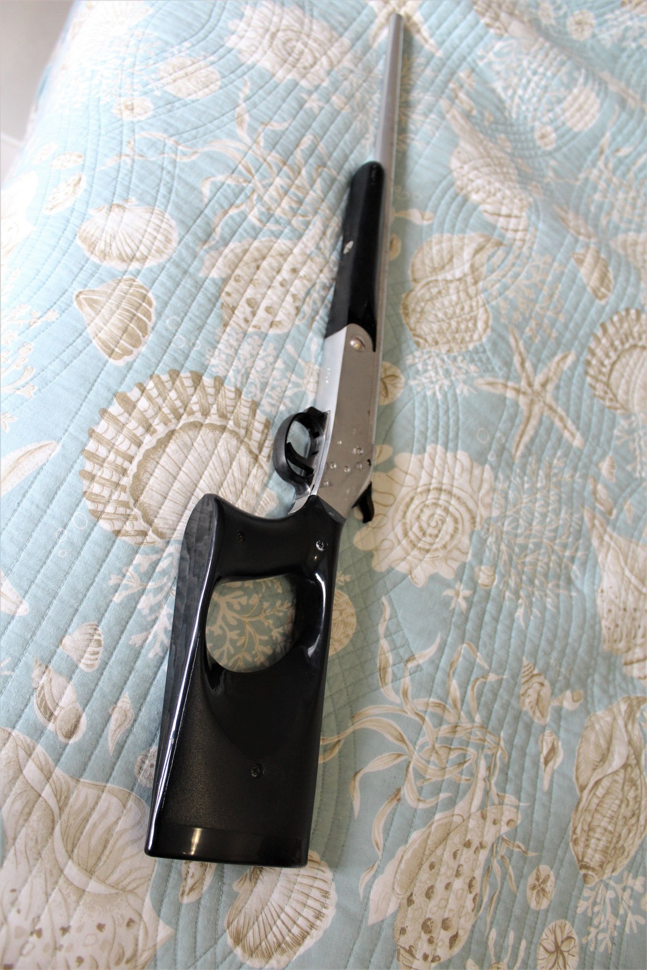 The Hull Truth - Boating and Fishing Forum - Bang stick ammo?