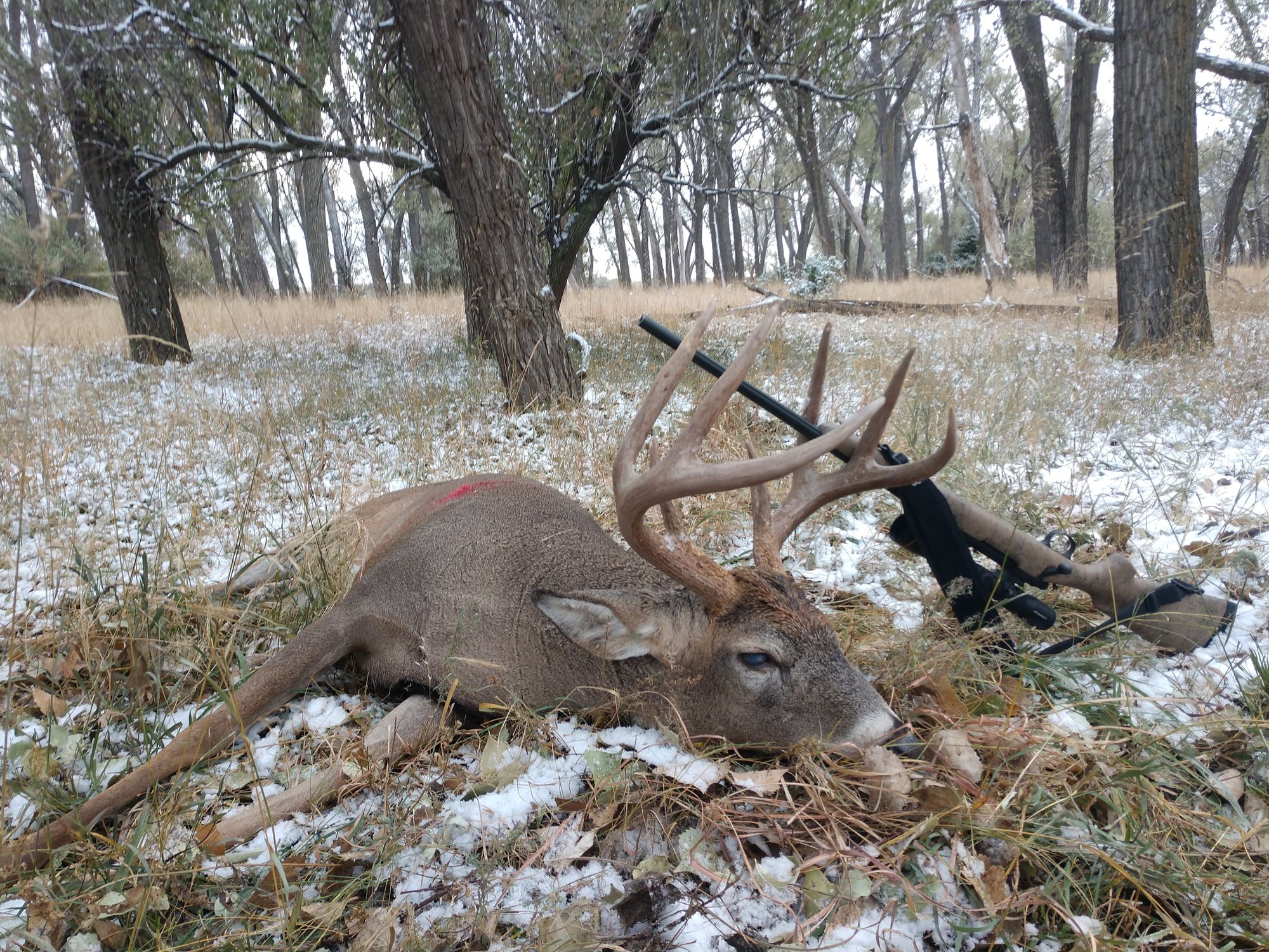 2019 Dead Deer Pics - Page 2 - The Hull Truth - Boating and Fishing Forum