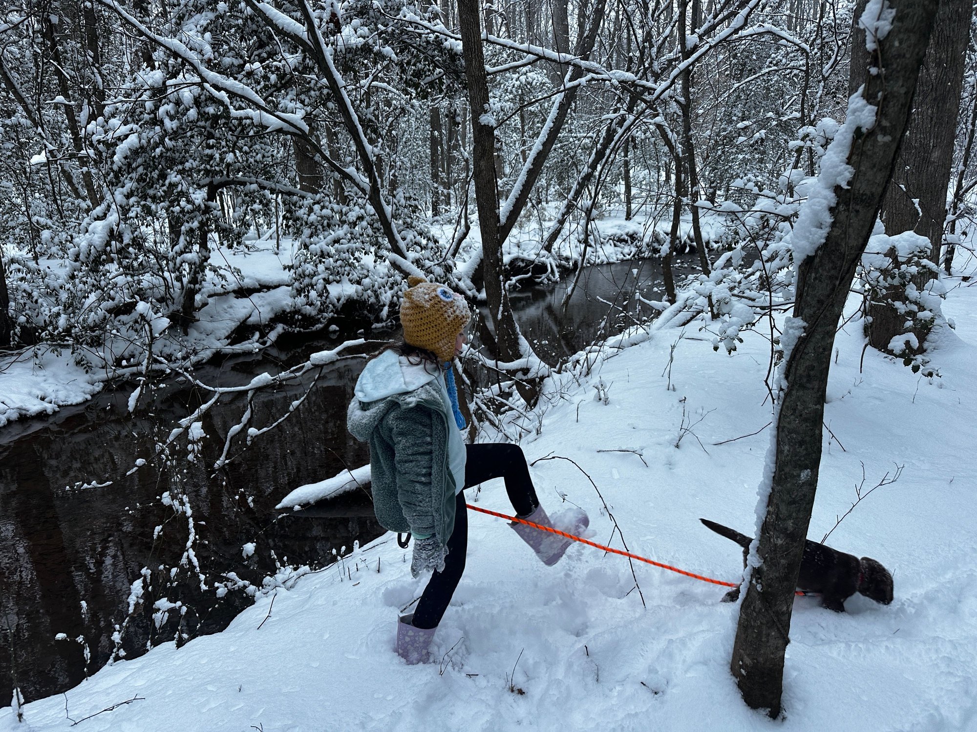 Carolina Snowpocalypse - Page 5 - The Hull Truth - Boating and Fishing ...