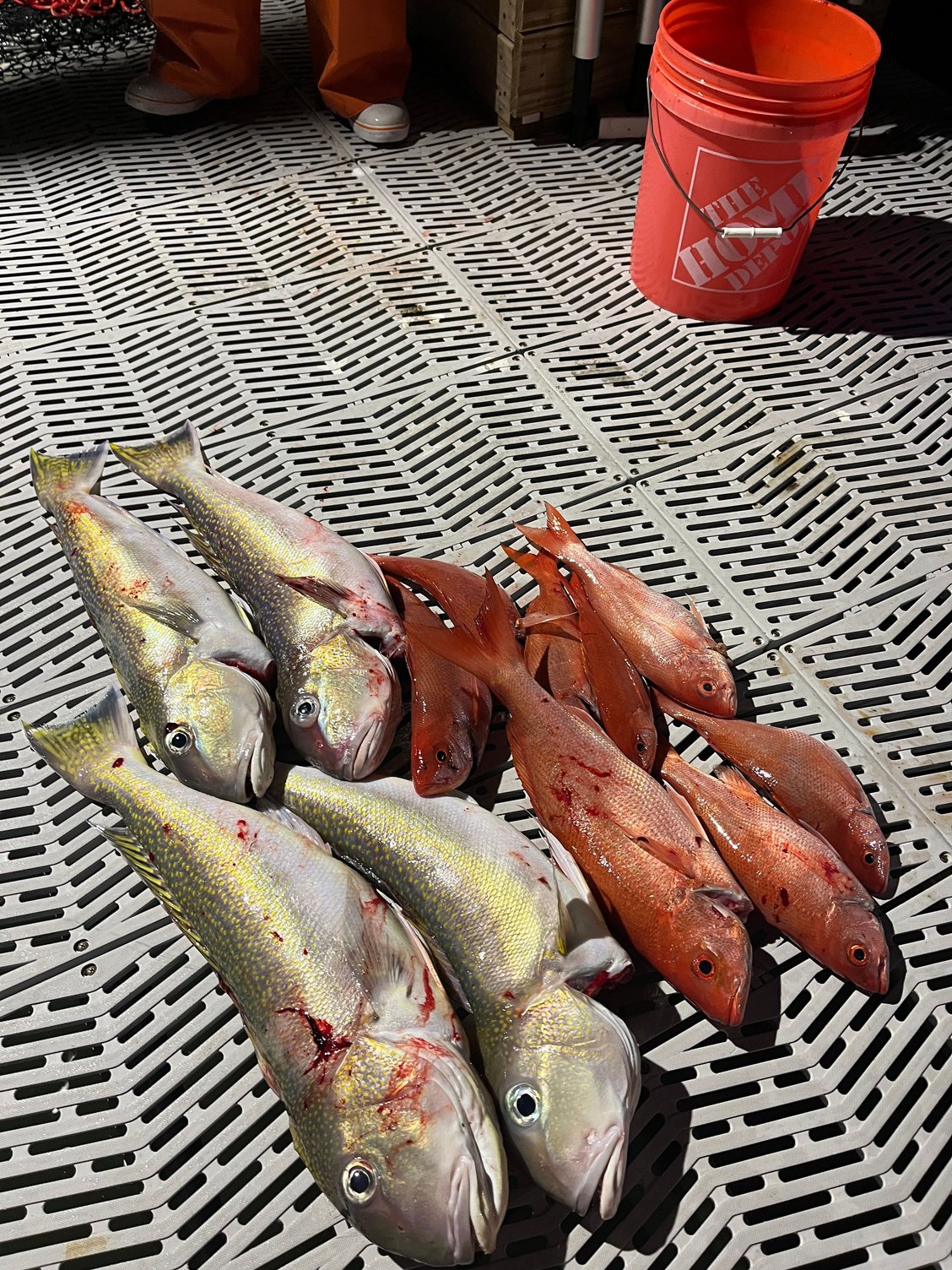 Ft Pierce Inlet and Vero Beach- reports/ fishing advice, etc - Page 191 ...