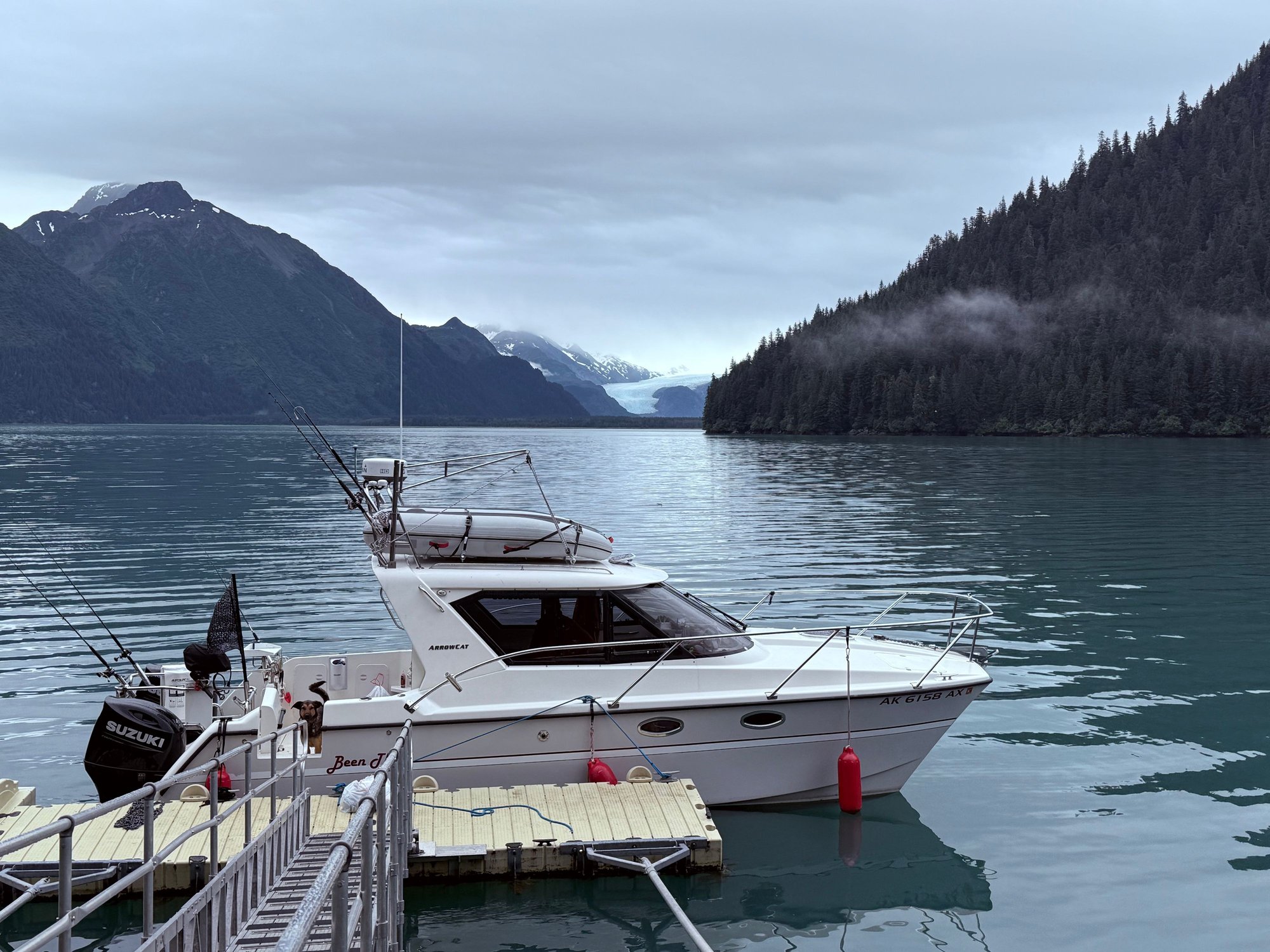 Arrowcat 320 - The Hull Truth - Boating and Fishing Forum