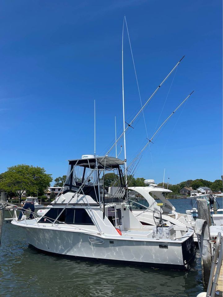 Net Reel Boats Custom