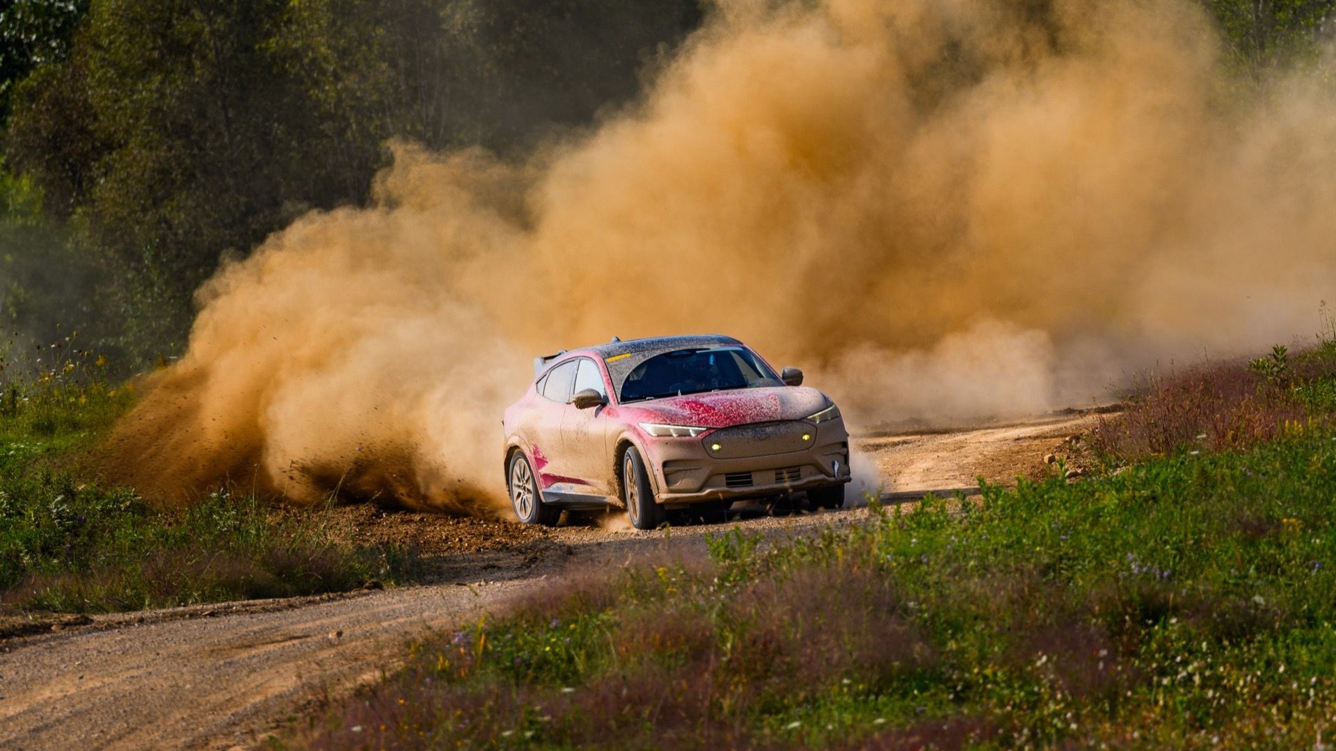 2024 Mustang Mach-E Rally was honed in rallycross conditions
