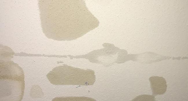 2929 Dunvale - 33 Reviews | Houston, TX Apartments for Rent ...