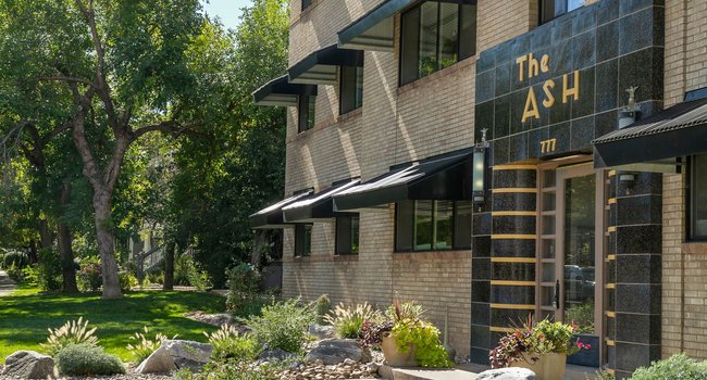 777 Ash Reviews - Denver, CO | 777 Ash Street | 10 Apartment Reviews