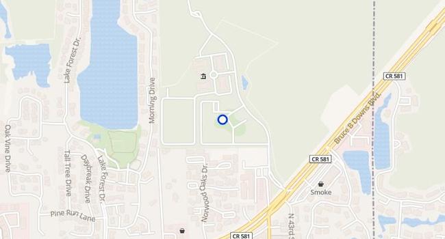 Lantana at Cypress Cay Reviews - Lutz, FL | 14854 Alcorine Place | 12 ...