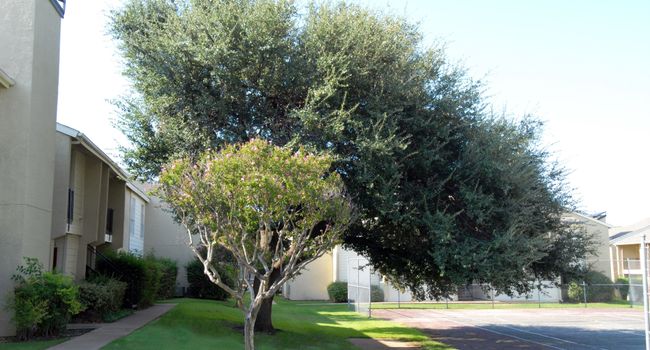 Shadowood Apartments Reviews - Addison, TX | 14500 Marsh Lane | 45 ...